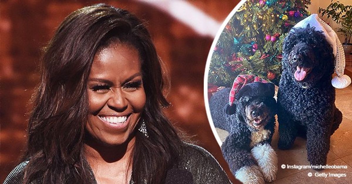 Michelle Obama Posts a Heartwarming Photo of Her 2 Dogs Bo and Sunny at ...