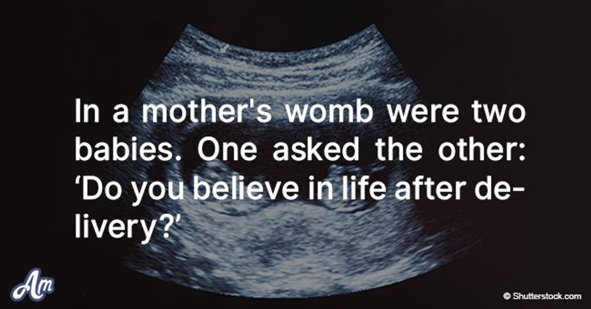 Story of the Day: Two Babies Talk in the Womb