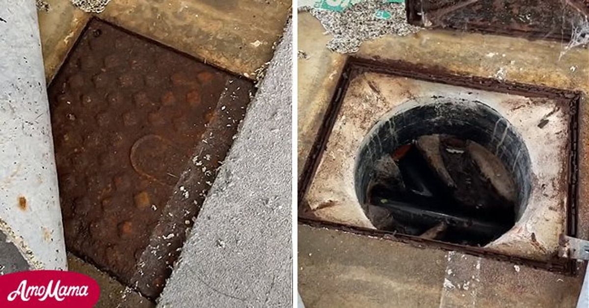 Family Notice Gross Smell in the House, Realize It's from under the ...