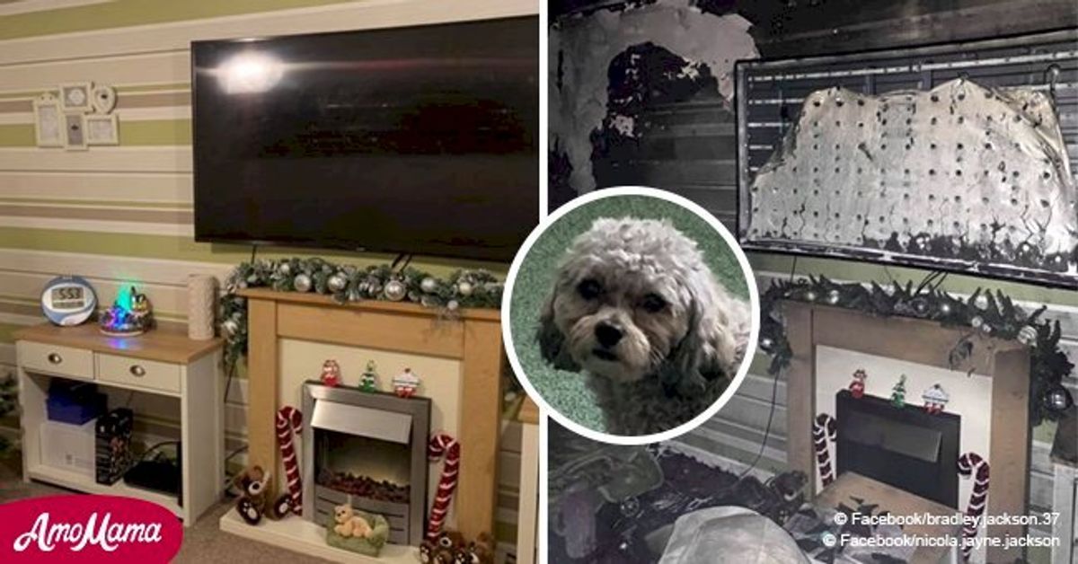 Young family left homeless after Christmas decorations caught fire and ...