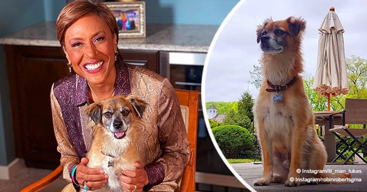 Robin Roberts Poses with Her Adopted Dog Lil Man Lukas That Has Its ...