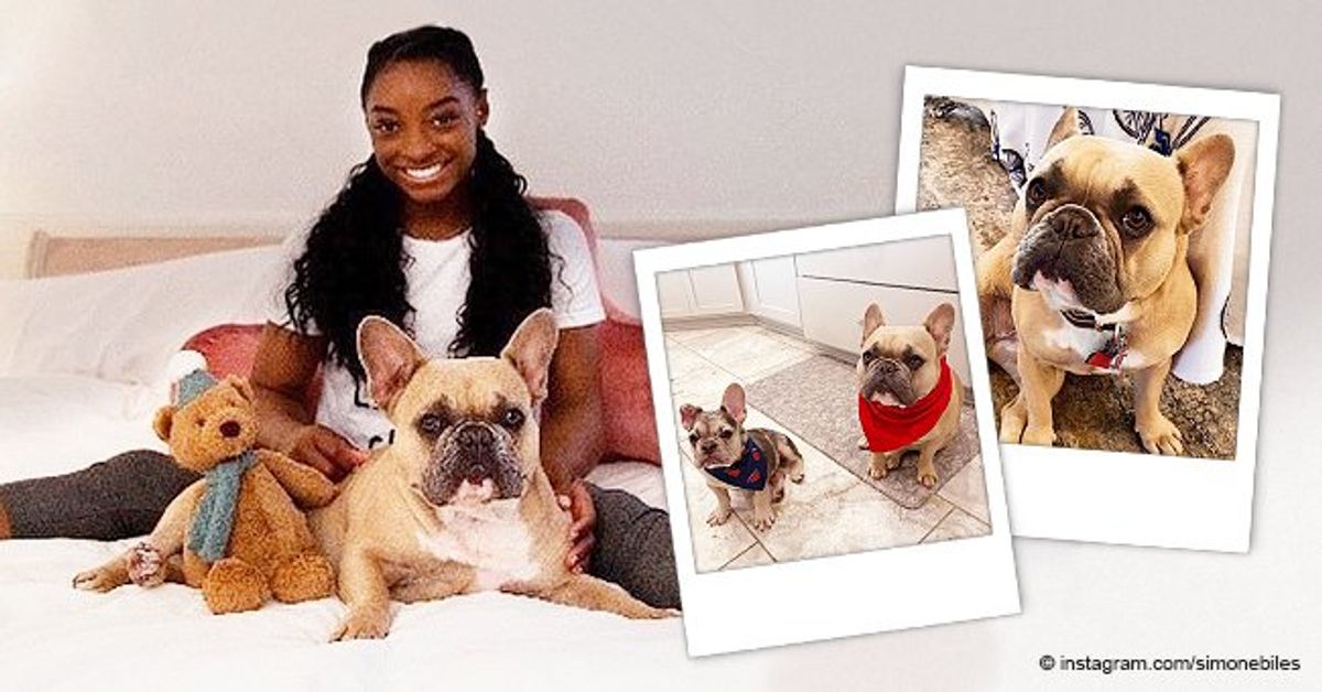 Meet Simone Biles' Cute Pet Dogs Lilo and Rambo