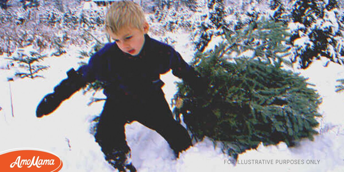 Cop Catches Boy Pulling Xmas Tree out of Woods, ‘It's to Make My Sick ...