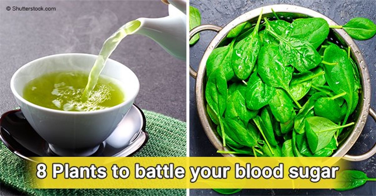 8 plants that may help in lowering your blood sugar