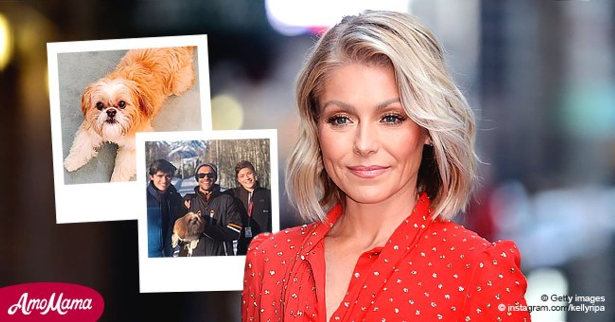 Kelly Ripa Celebrates Her Dog Chewie's Birthday with Painfully Cute Photos