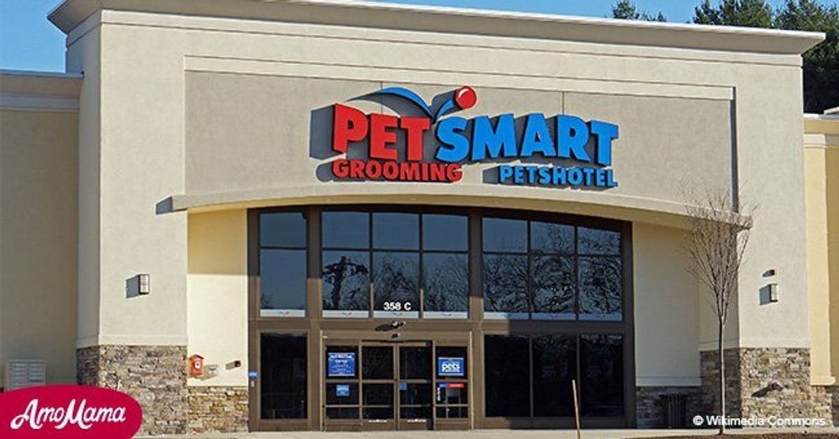 PetSmart faces animal abuse allegations after at least four dogs died ...