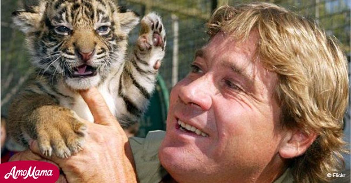 'Crocodile Hunter' Steve Irwin received tremendous posthumous tribute ...