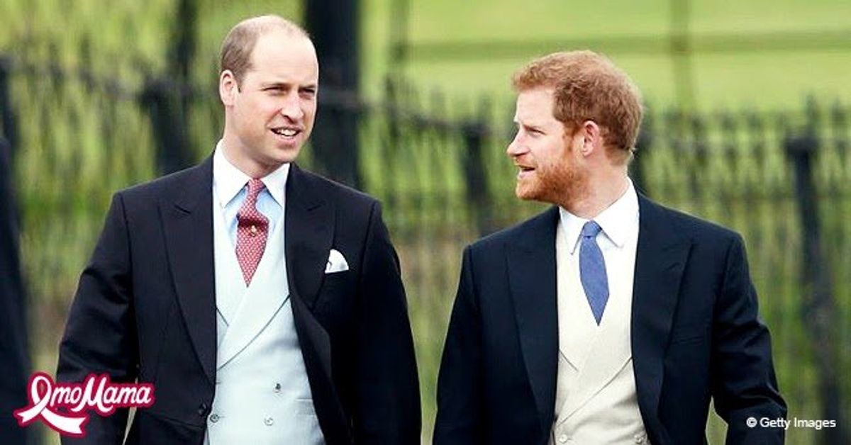 'Battle of Brothers' Reveals Prince Harry & Prince William's Difficult ...