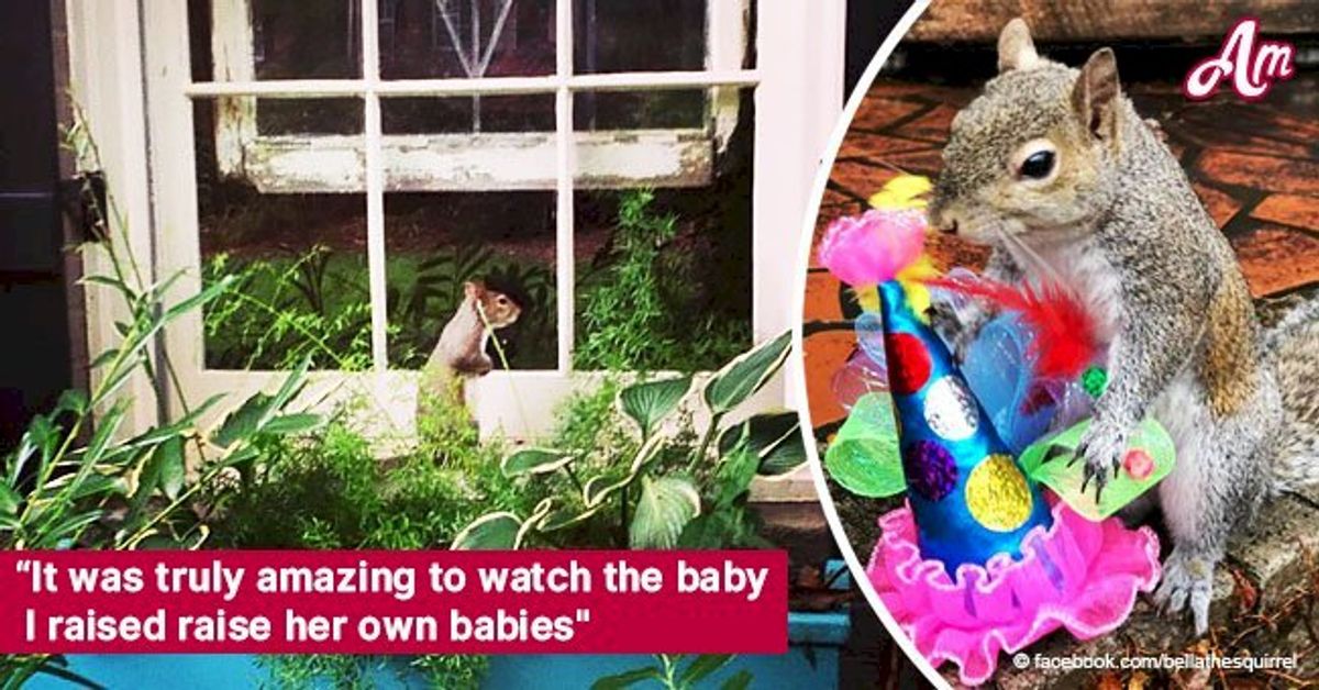 Little squirrel keeps coming back to the family who rescued her 9 years ago