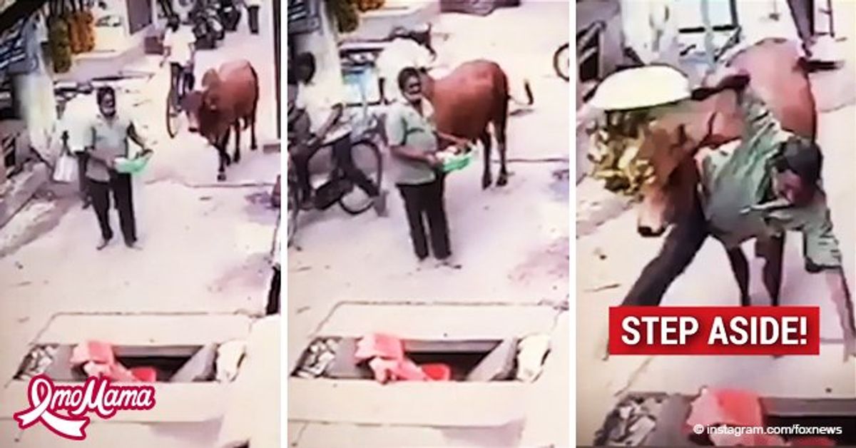 Cow in India Pushes a Man to Steal the Food from His Bowl [Video]