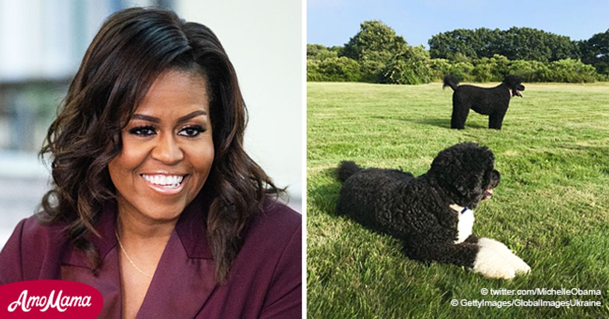 Michelle Obama Celebrates National Dog Day with Cute Photos of Bo and Sunny