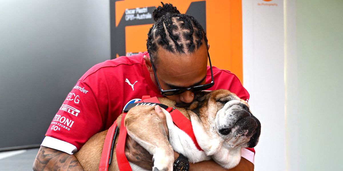 F1 Champion Lewis Hamilton Announces Beloved Dog Roscoe Has Died
