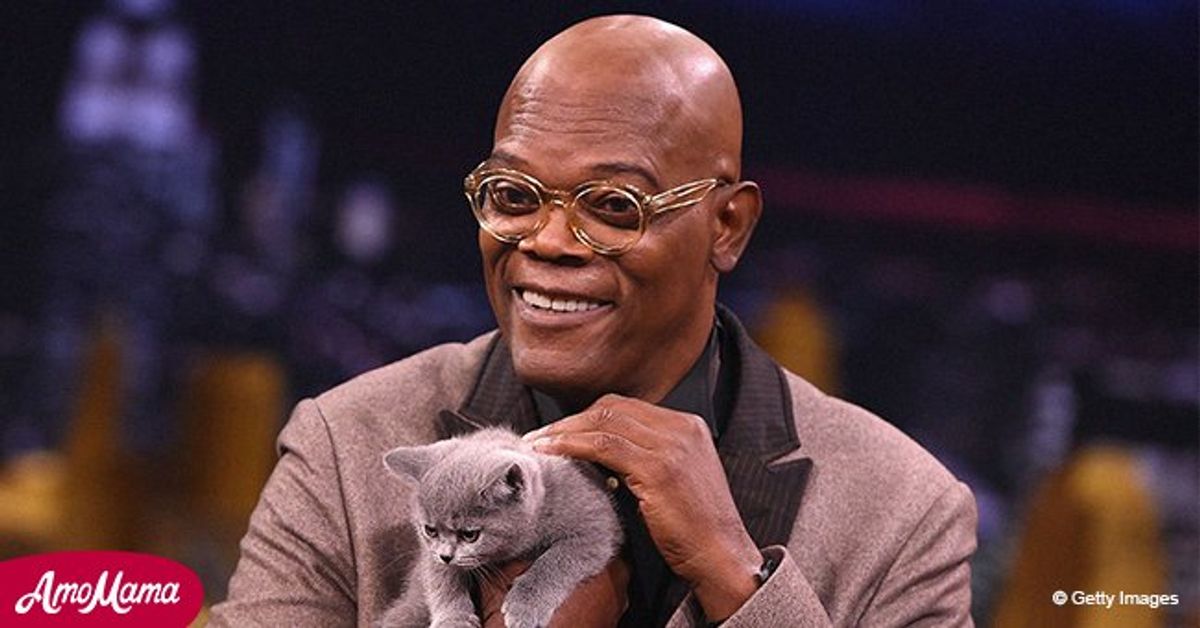 Salma Hayek, Mark Hamill and Other Stars Send Love to Samuel L Jackson ...