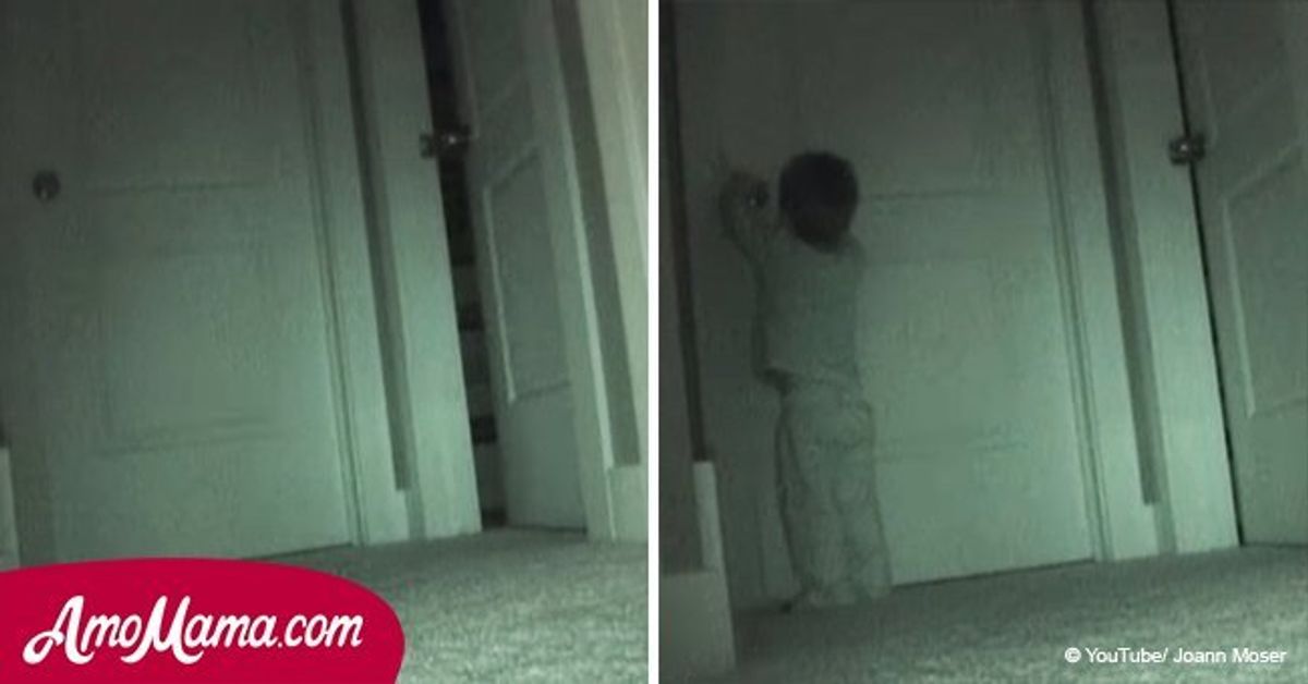 Girl's toys disappear every night. So parents put up a camera and ...