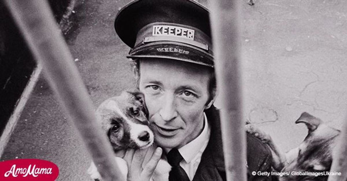 Story behind 'Alice' Star Charles Levin's Disappearance and Death