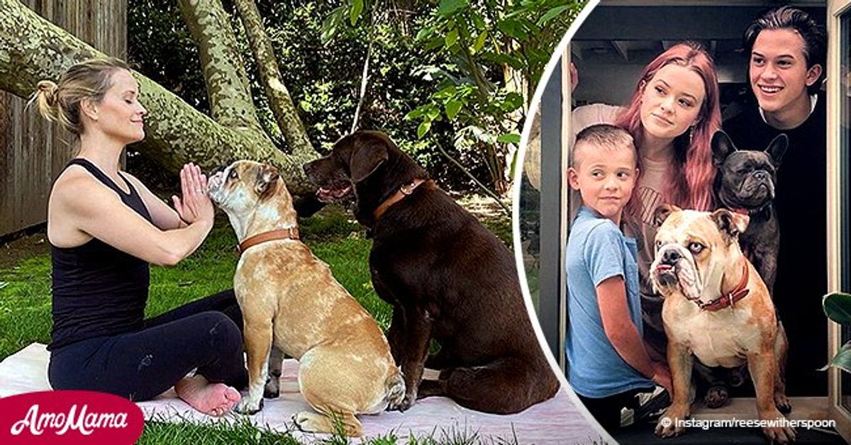 Reese Witherspoon's Sweetest Moment with Her Dogs — Inside Their Yoga ...