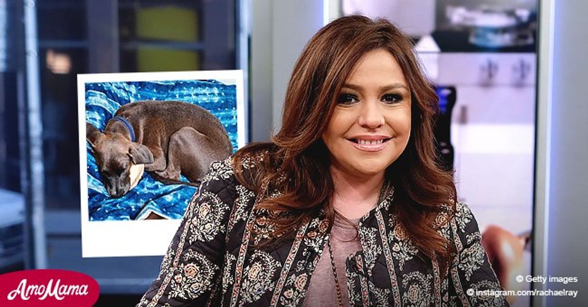 Rachael Ray Shares Sweet Photo of Her Puppy Bella
