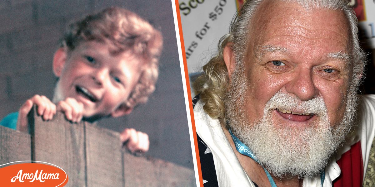 'Family Affair': What Happened to the Stars of the Iconic Series ...