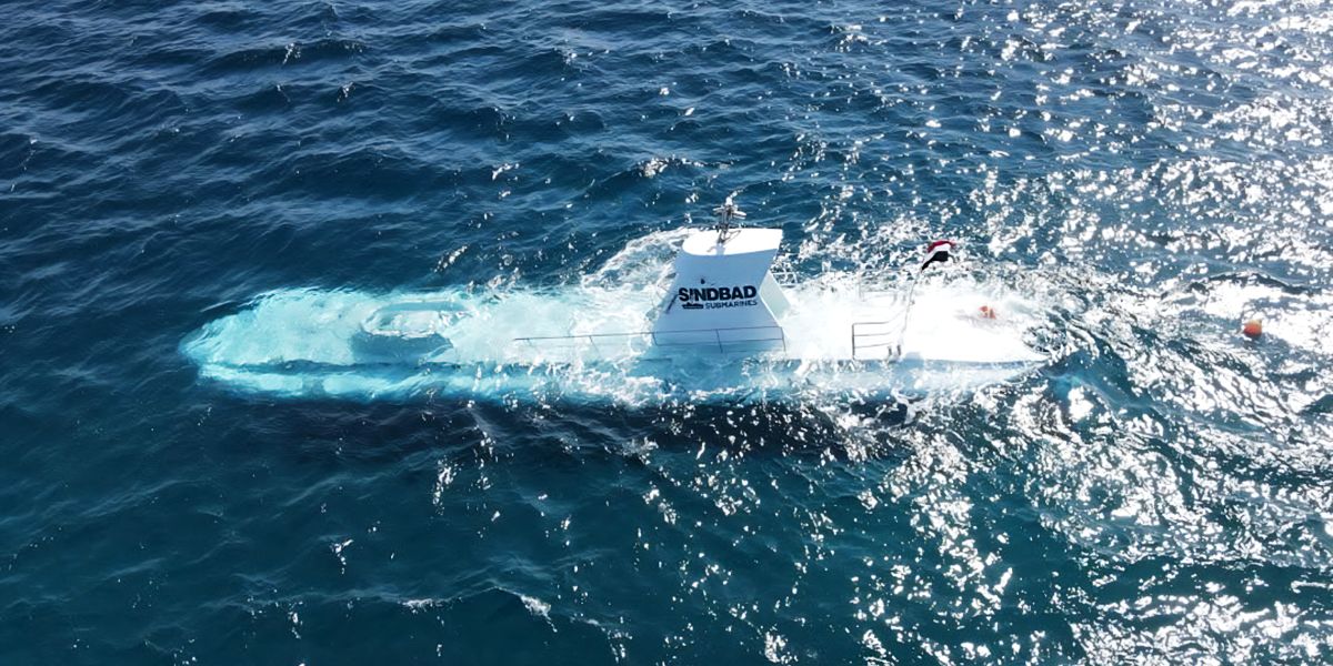 At Least Six People Feared Dead After Tourist Submarine Sinks in the ...