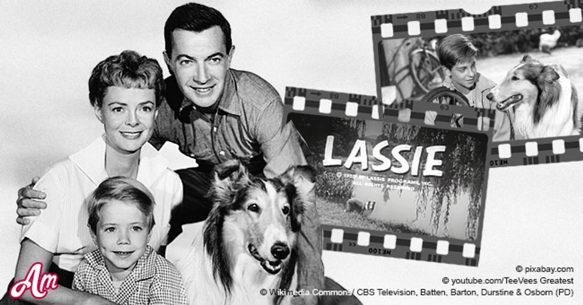 20 Facts about 'Lassie' You Might Not Know
