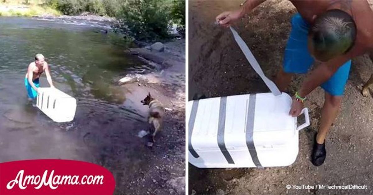 Friends saw a strange box floating on the river. They got it out and ...