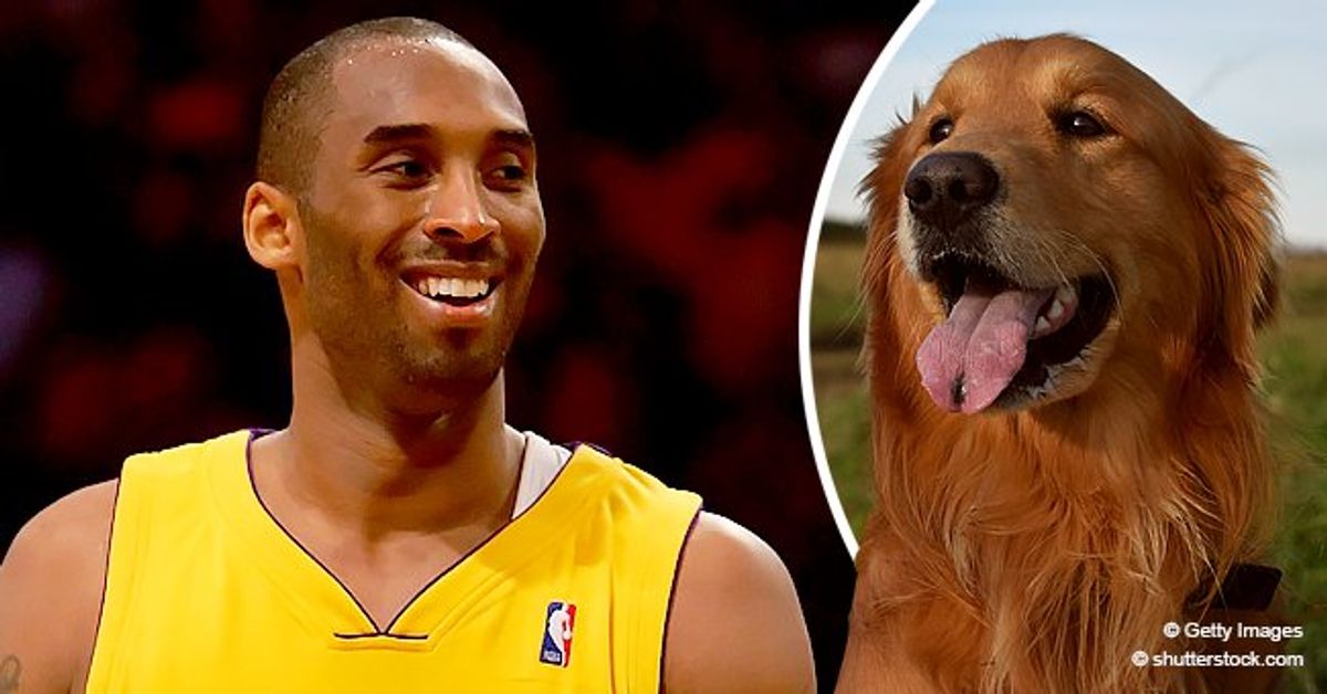 TMZ: Pet Owners Show Sympathy to Late NBA Legend Kobe Bryant by Naming ...