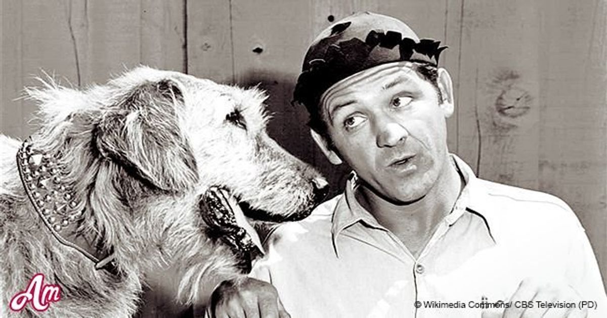 George Lindsey Died Eight Years Ago — Life and Death of 'The Andy ...