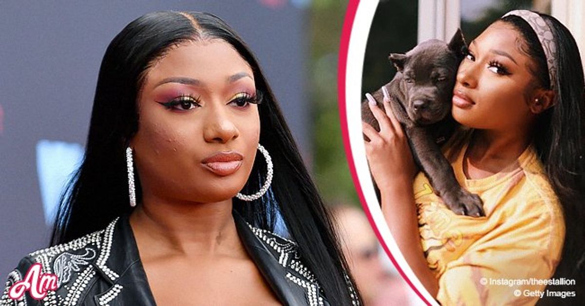 Megan Thee Stallion — 10 Facts about the American Singer, Songwriter ...