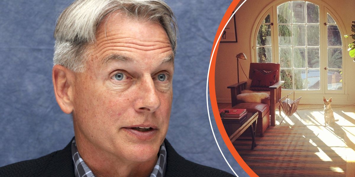 'NCIS' Stars' Homes Revisited - Rare Photos