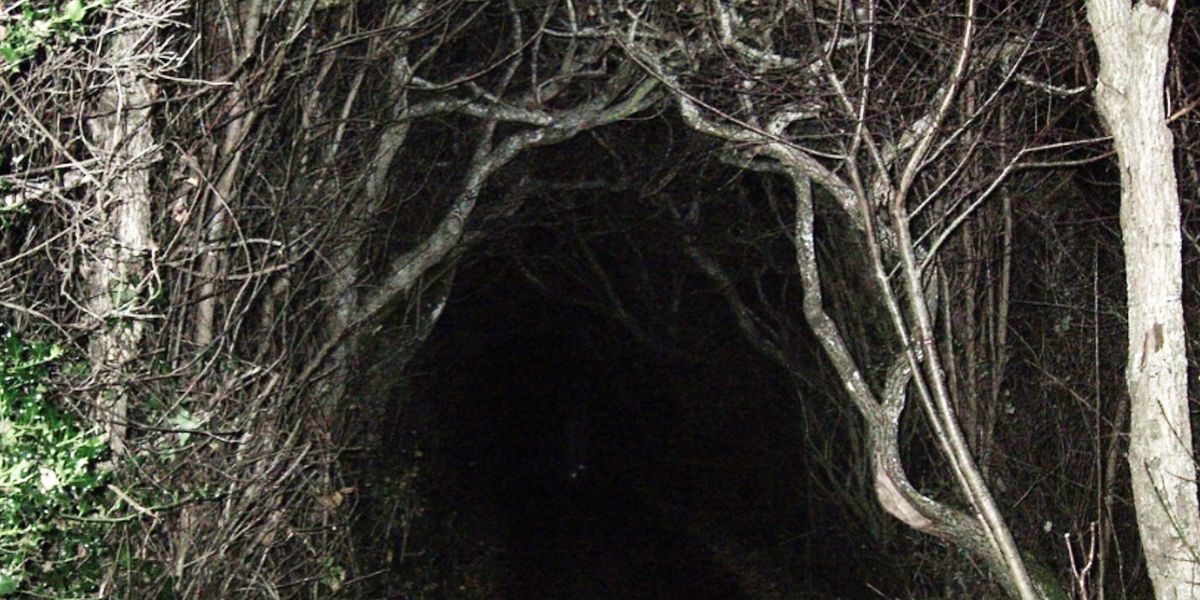 3 Mystical Stories from Internet Users That Will Give You Goosebumps