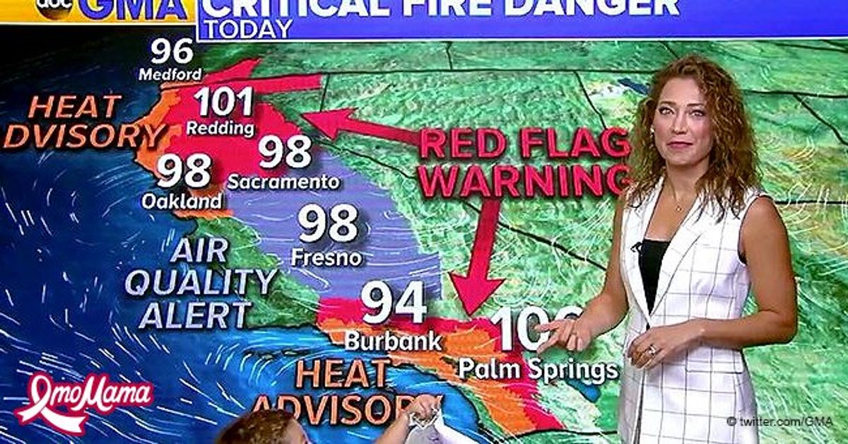 Watch ABC News Meteorologist Ginger Zee Adorably Interrupted by Her Son ...