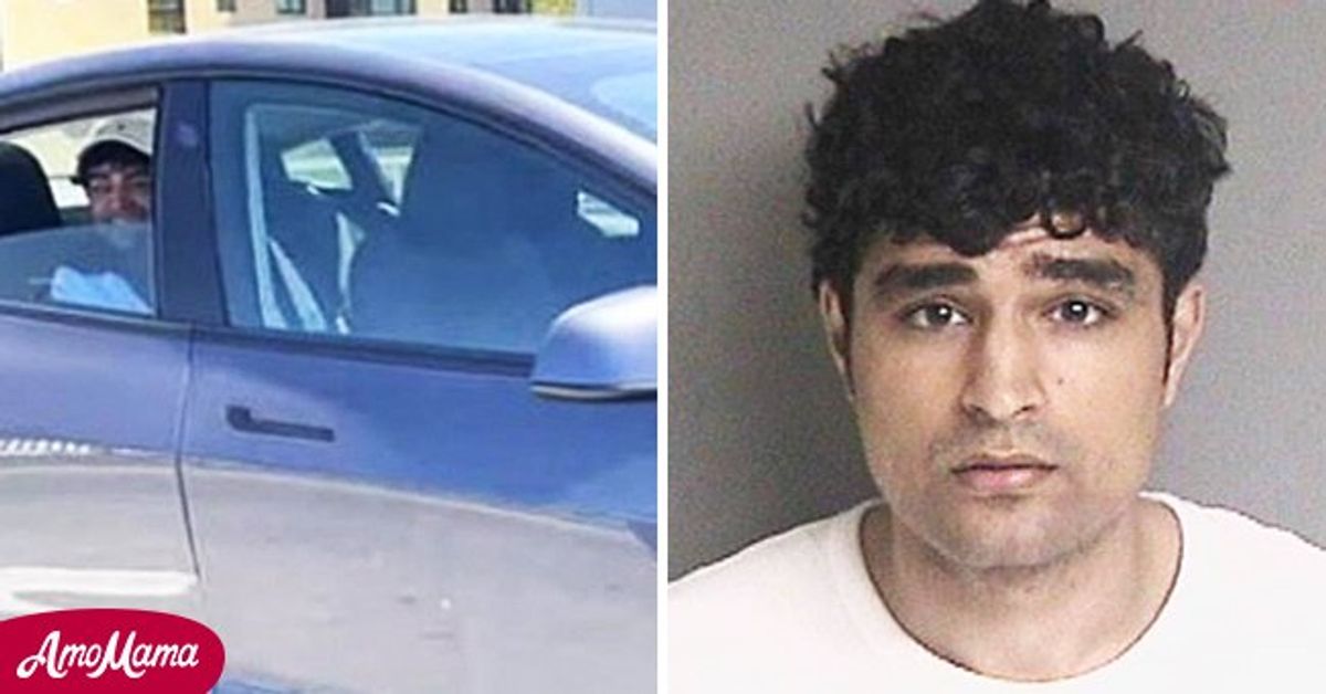 Tesla Driver Detained after Turning on Autopilot and Not Sitting behind ...