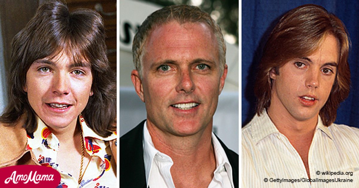 Inside the Bond between the Four Cassidy Brothers