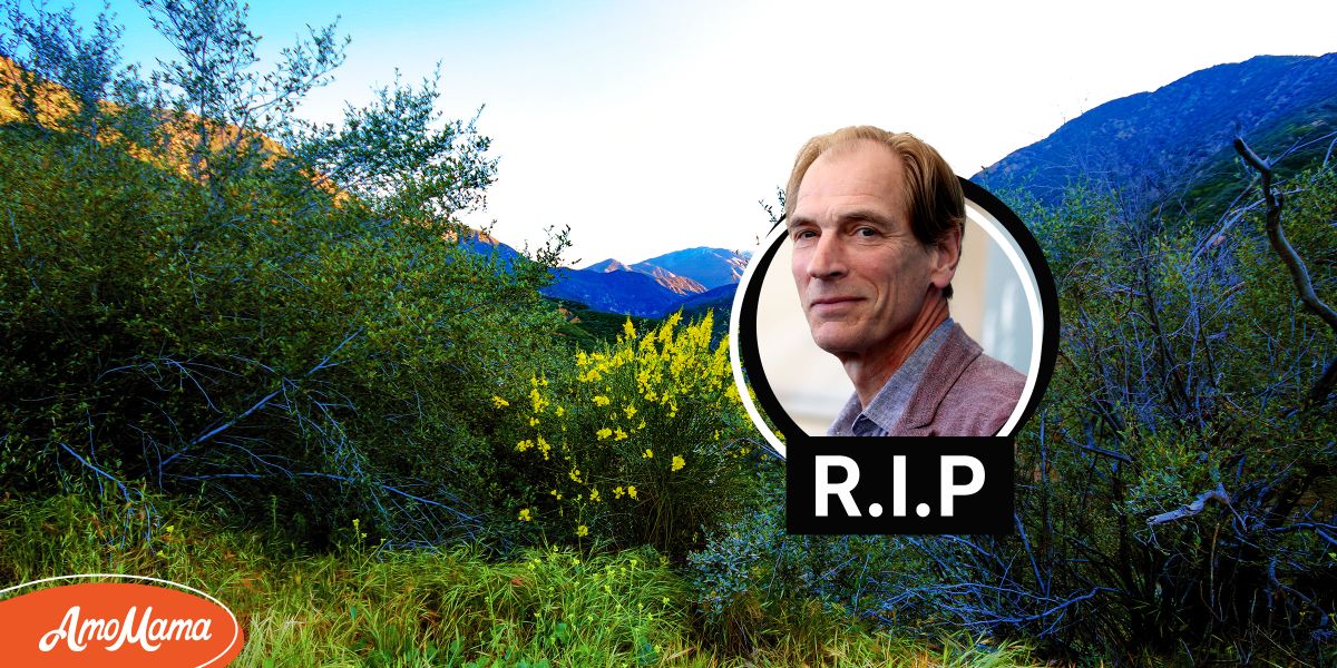 Actor Julian Sands Confirmed Dead after Remains Were Found — Manner of ...