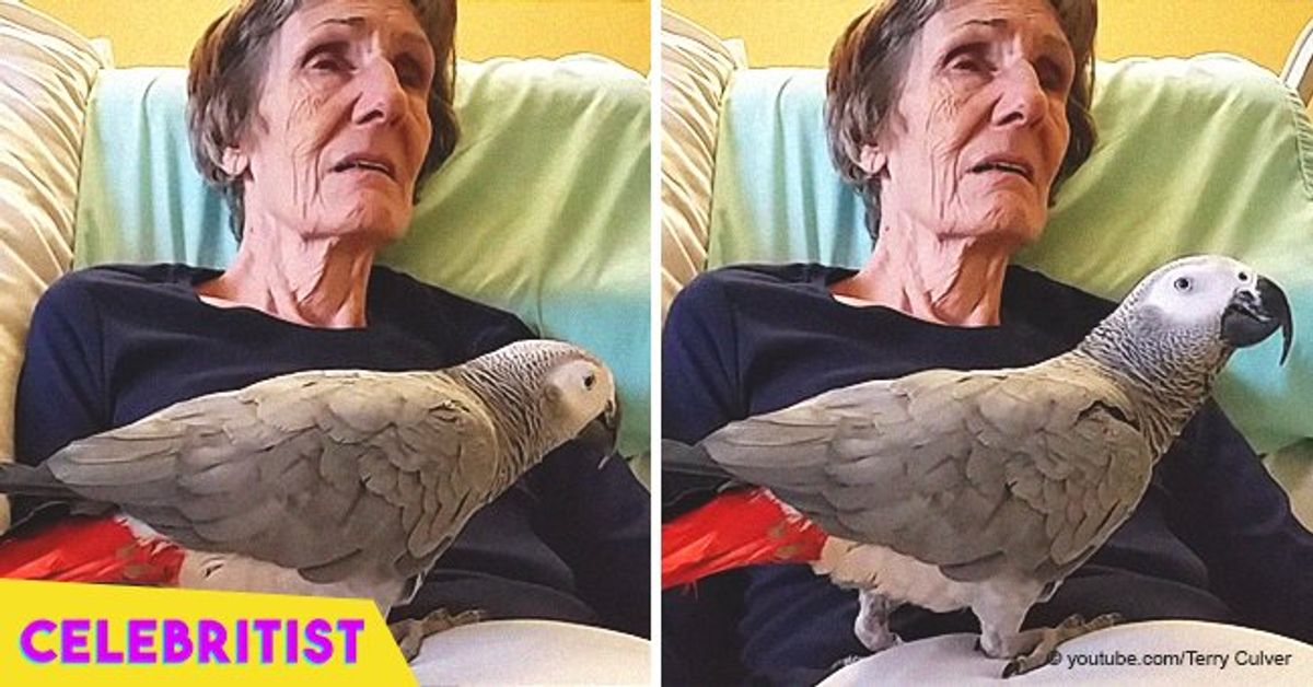 Woman said "I love you" one last time to her parrot and his reaction ...