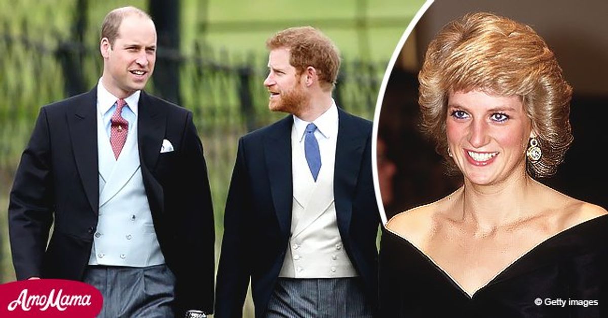 Prince William and Prince Harry Unite for Unveiling of Diana Statue