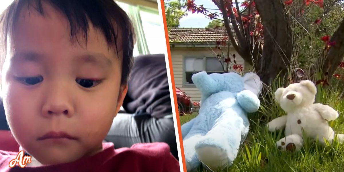 Boy, 3, Dies in Backyard Fire during BBQ with Dad While His Mom Was at ...