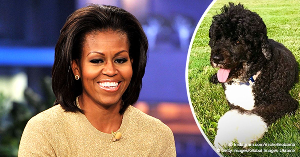 Michelle Obama Shares Adorable Photos of Bo and Sunny, Wishes Them a ...