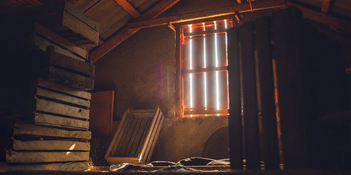 I Started Hearing Strange Noises from the Attic, So I Installed Hidden ...