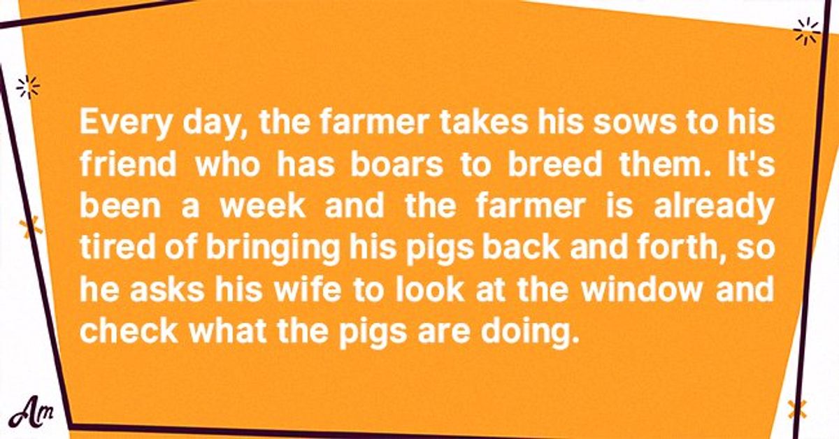 Daily Joke: Farmer Desperately Tries to Breed His Sows