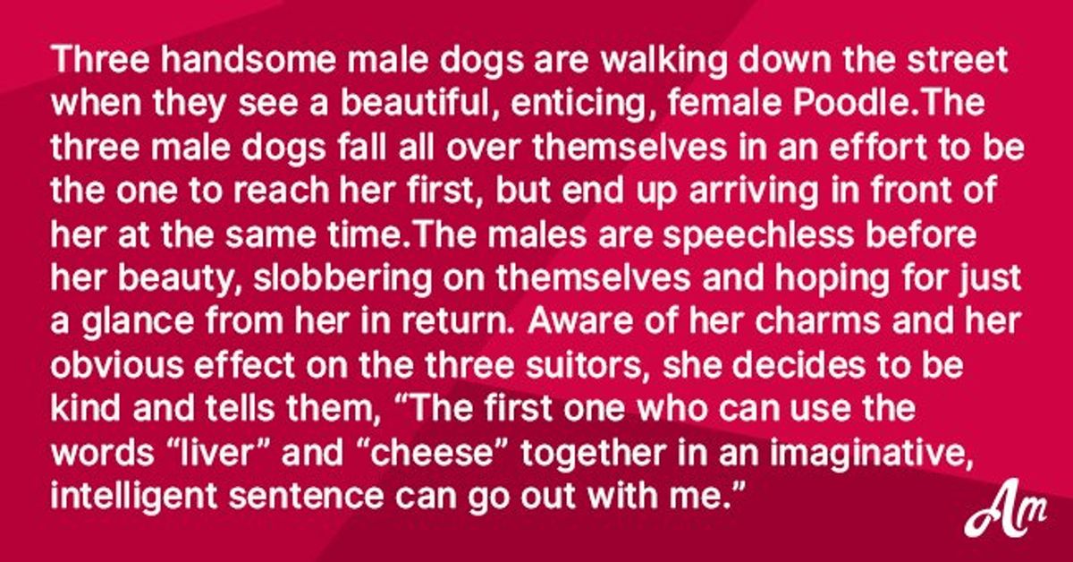 Three handsome male dogs see a beautiful, enticing, female Poodle