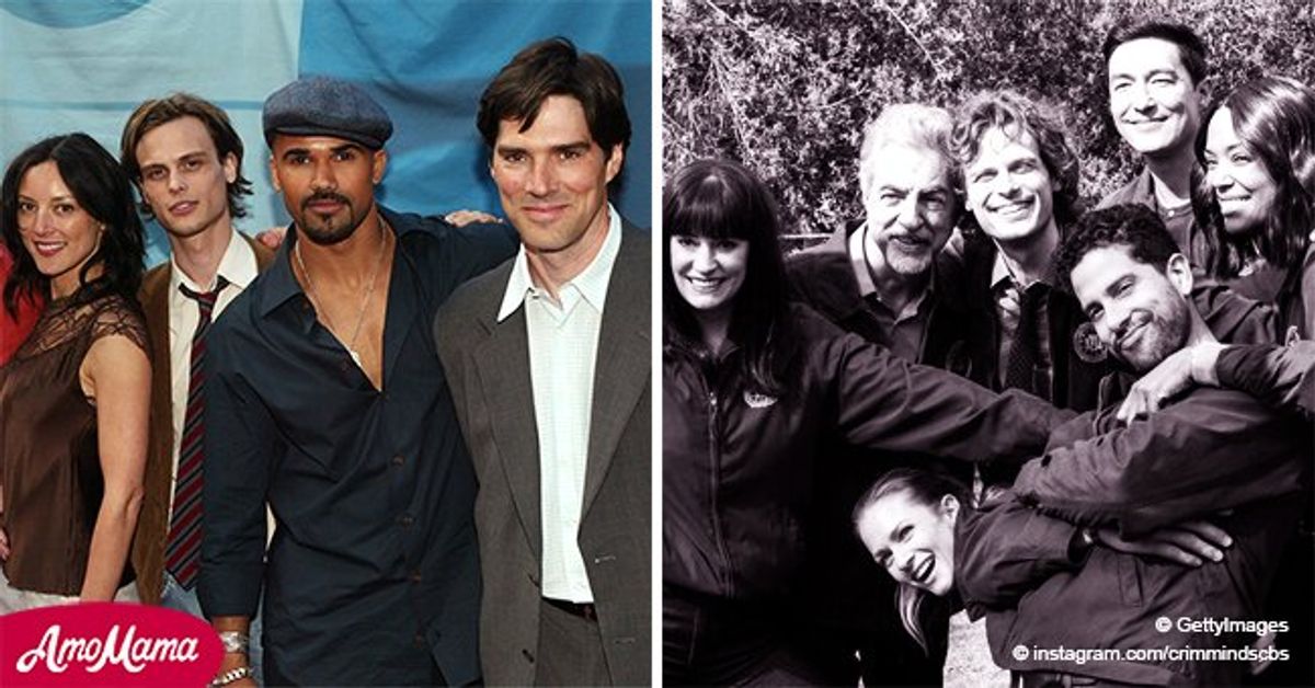 Matthew Gray Gubler, AJ Cook & Rest of 'Criminal Minds' Cast through ...