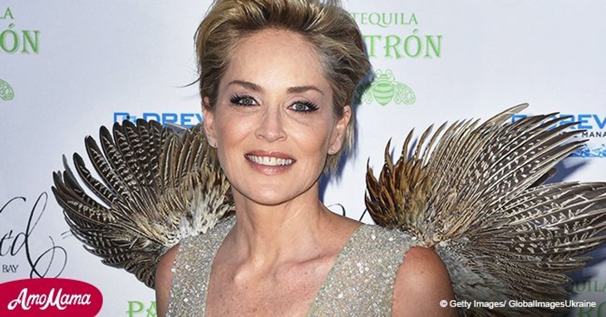 Sharon Stone, 60, proves she's an ageless beauty as she flashes her fit ...