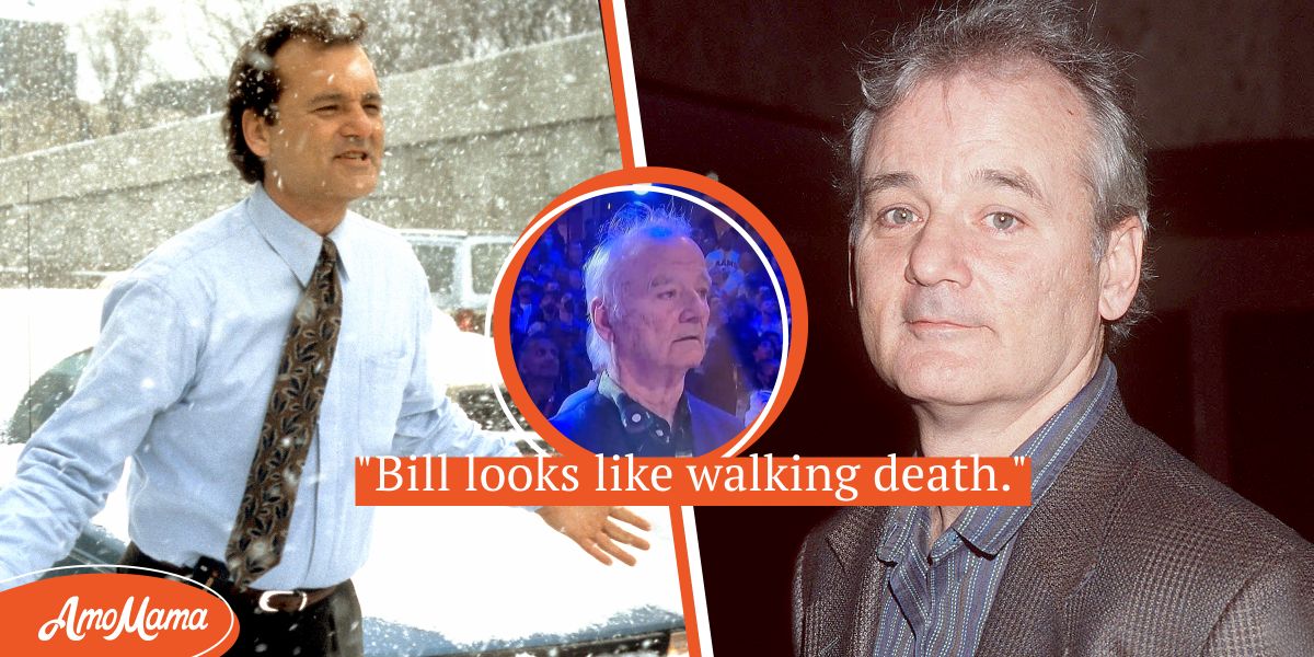 Bill Murray Called 'Unalive' for His Look at 72 - He's Proud Dad of 6 ...