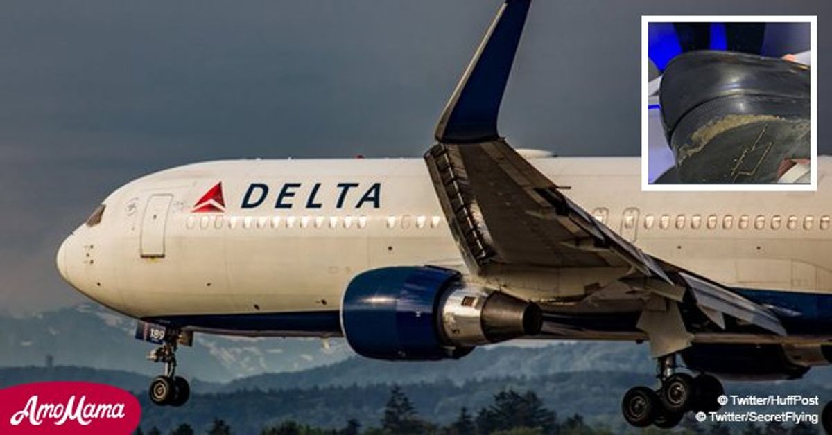 Delta Airlines passenger compelled to sit in dog feces for a two-hour ...