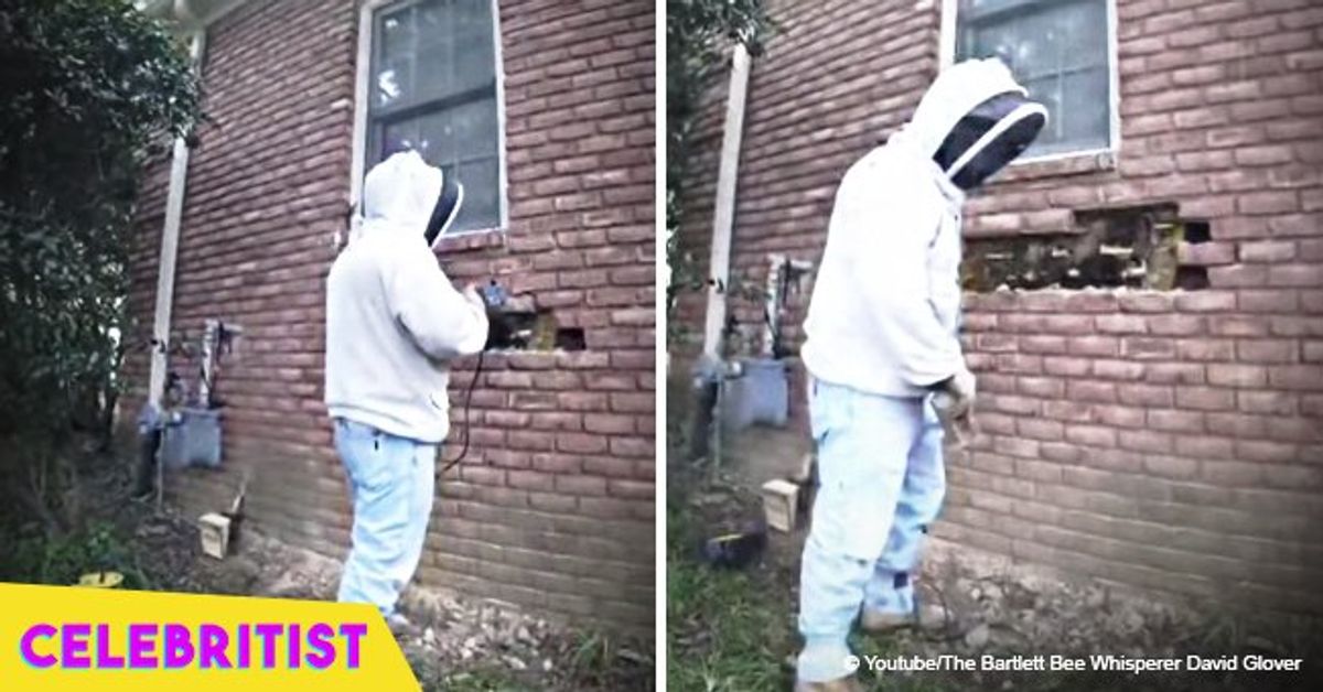 People hear strange buzz in the wall & realizing they are in danger ...