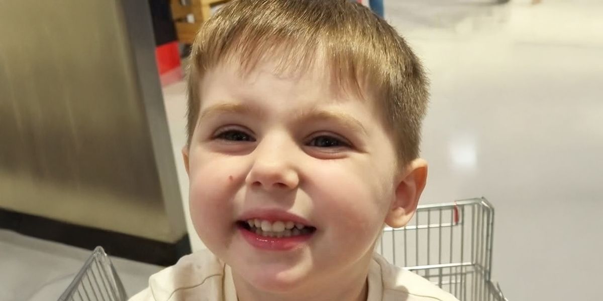3-Year-Old Boy Dies After Going Outside His House to Collect Some Toys ...
