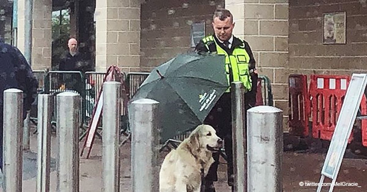 See How This Security Guard Sheltered a Dog While It Was Raining (Photo)