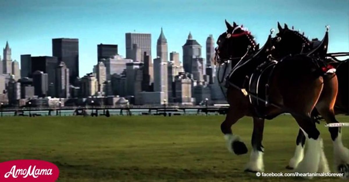 Touching story behind the 9/11 commercial that aired just one time