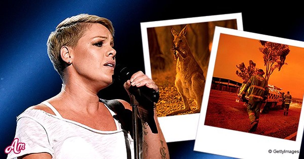 Pink Pledges $500,000 to Help Australian Fire Services Battling the ...
